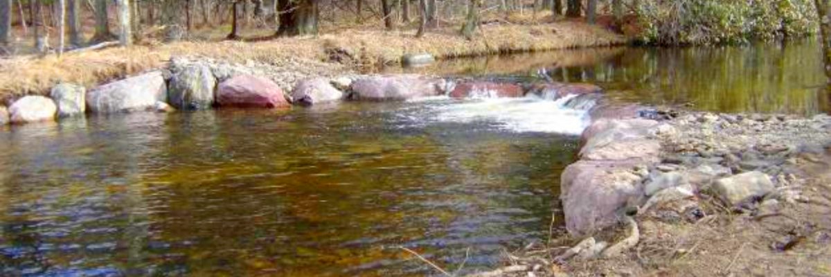 Upper Tunkhannock Creek – Trout Habitat Improvement | Hanover Engineering
